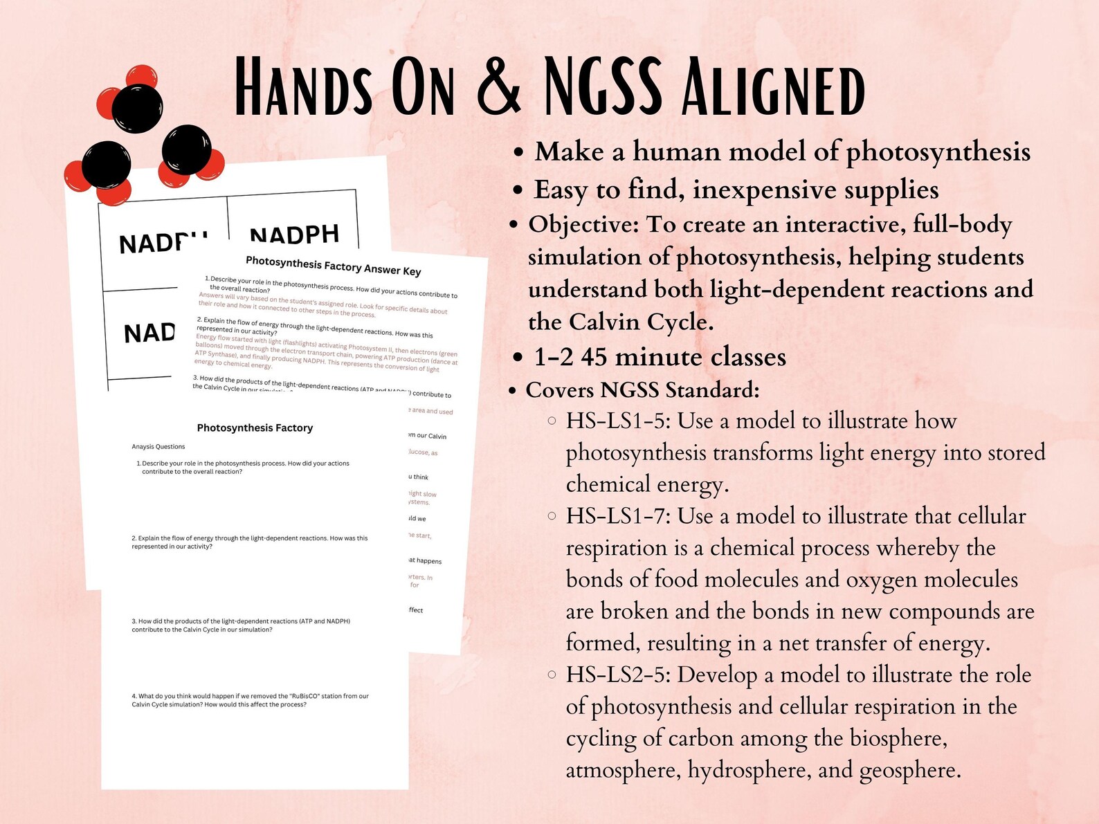 Photosynthesis Factory: Interactive Classroom Lab Kit, Biology ...