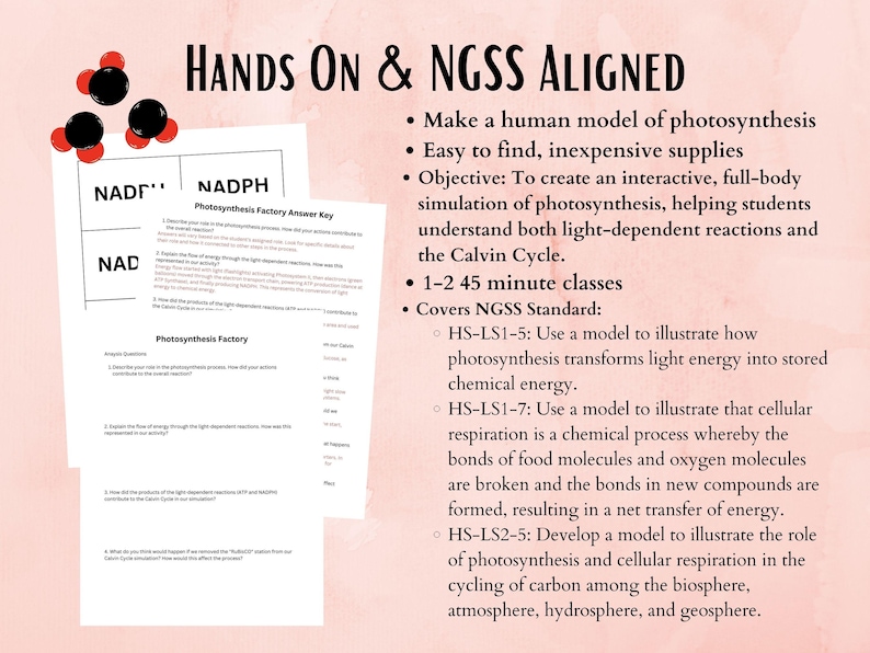 Photosynthesis Factory: Interactive Classroom Lab Kit, Biology ...
