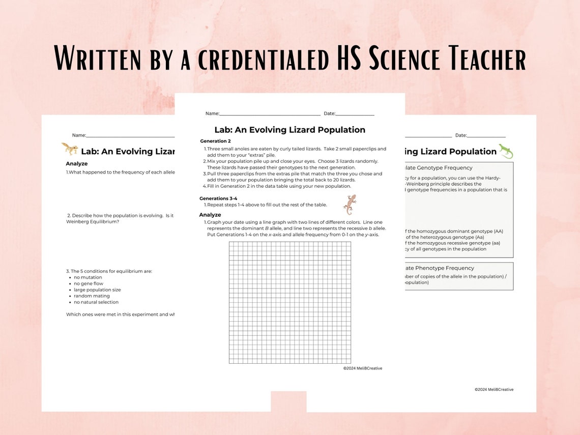 Lab: Genotype and Phenotype Frequency, High School Biology Worksheet ...