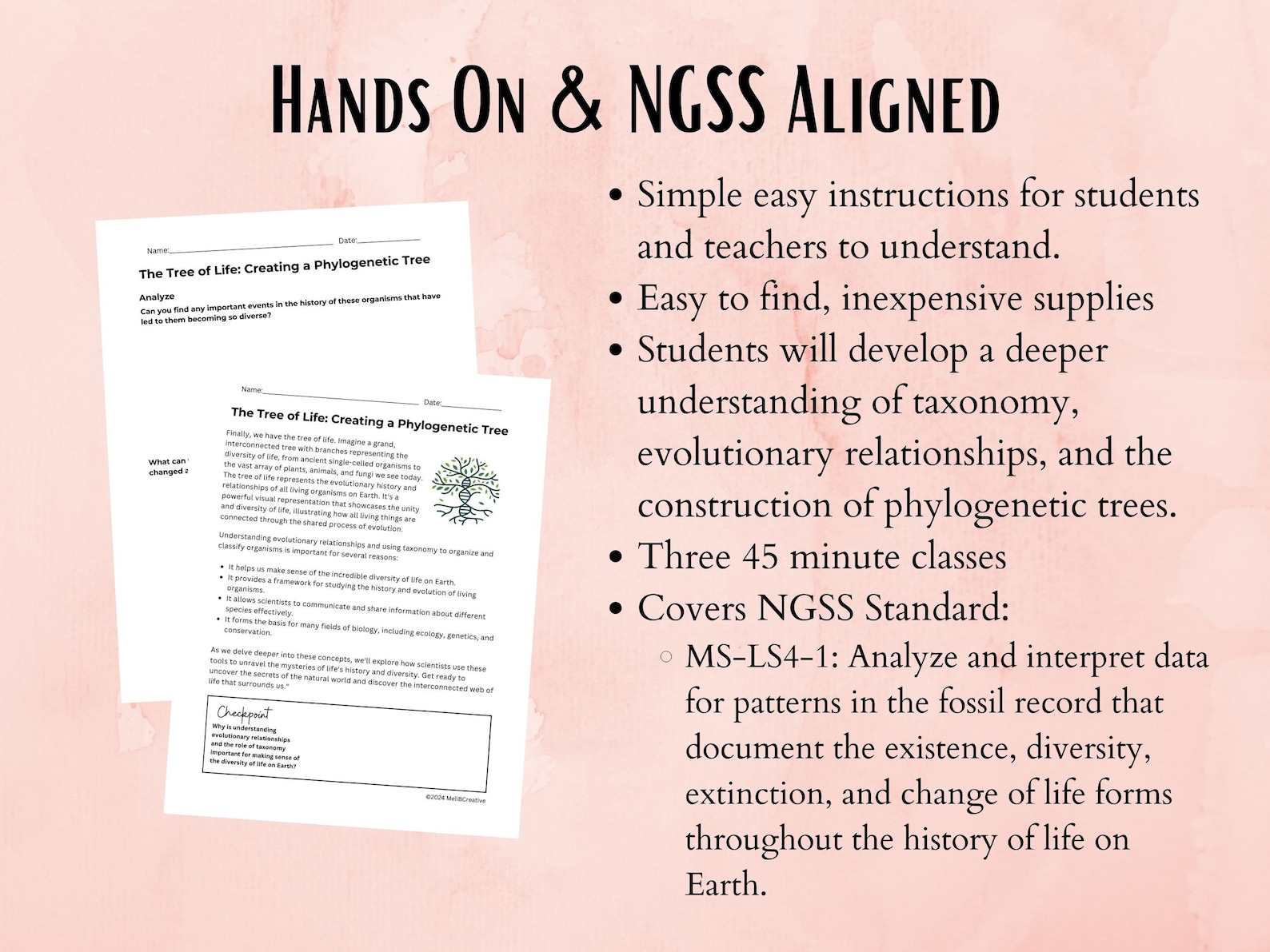 Lab Sheet, the Tree of Life, Creating a Phylogenetic Tree, Biology ...