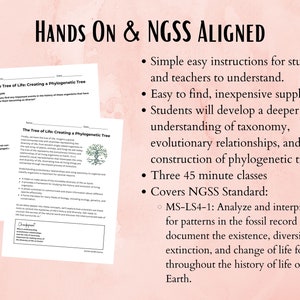Lab Sheet, the Tree of Life, Creating a Phylogenetic Tree, Biology ...
