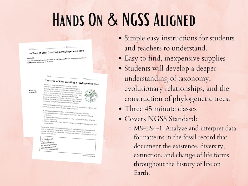 Lab Sheet, the Tree of Life, Creating a Phylogenetic Tree, Biology ...