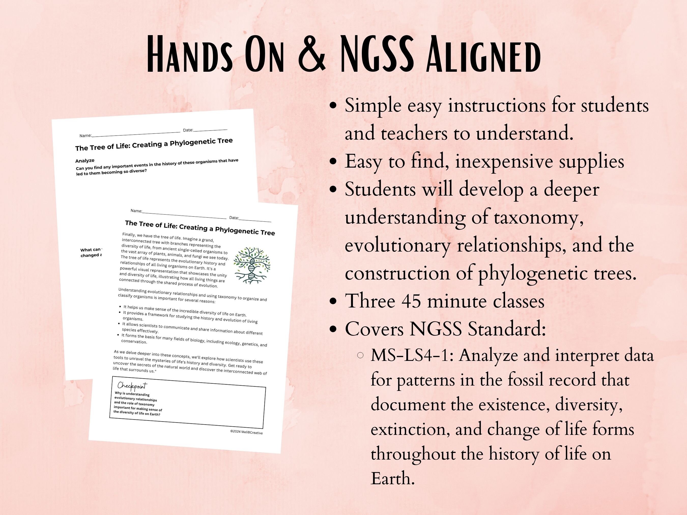 Lab Sheet, the Tree of Life, Creating a Phylogenetic Tree, Biology ...