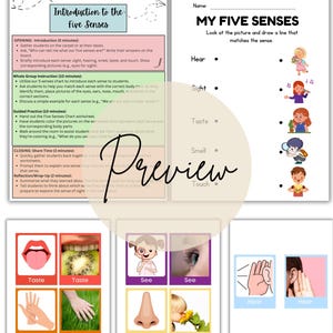 Kindergarten Science Unit 1: the Five Senses (lesson Plan/activities ...