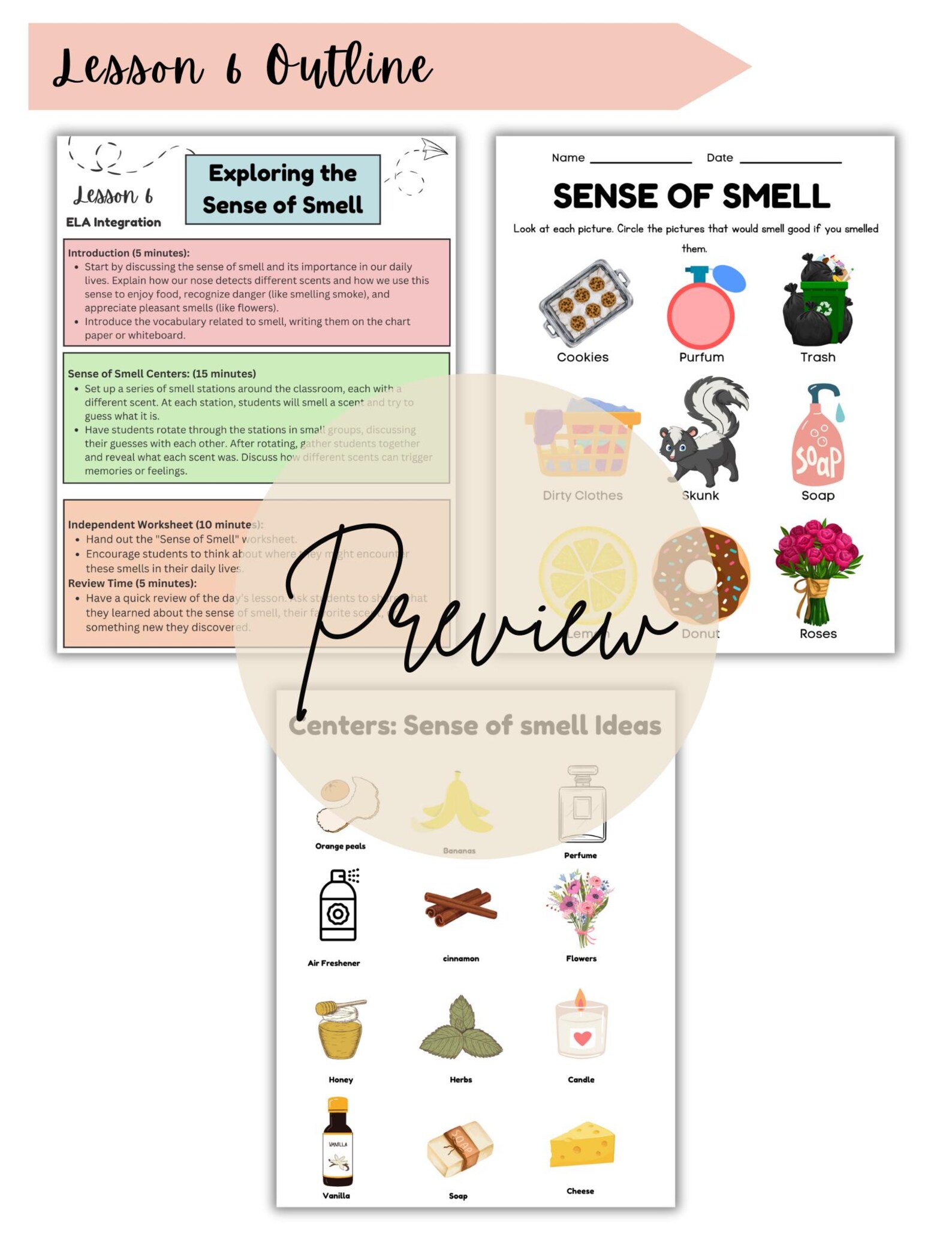 Kindergarten Science Unit 1: the Five Senses (lesson Plan/activities ...