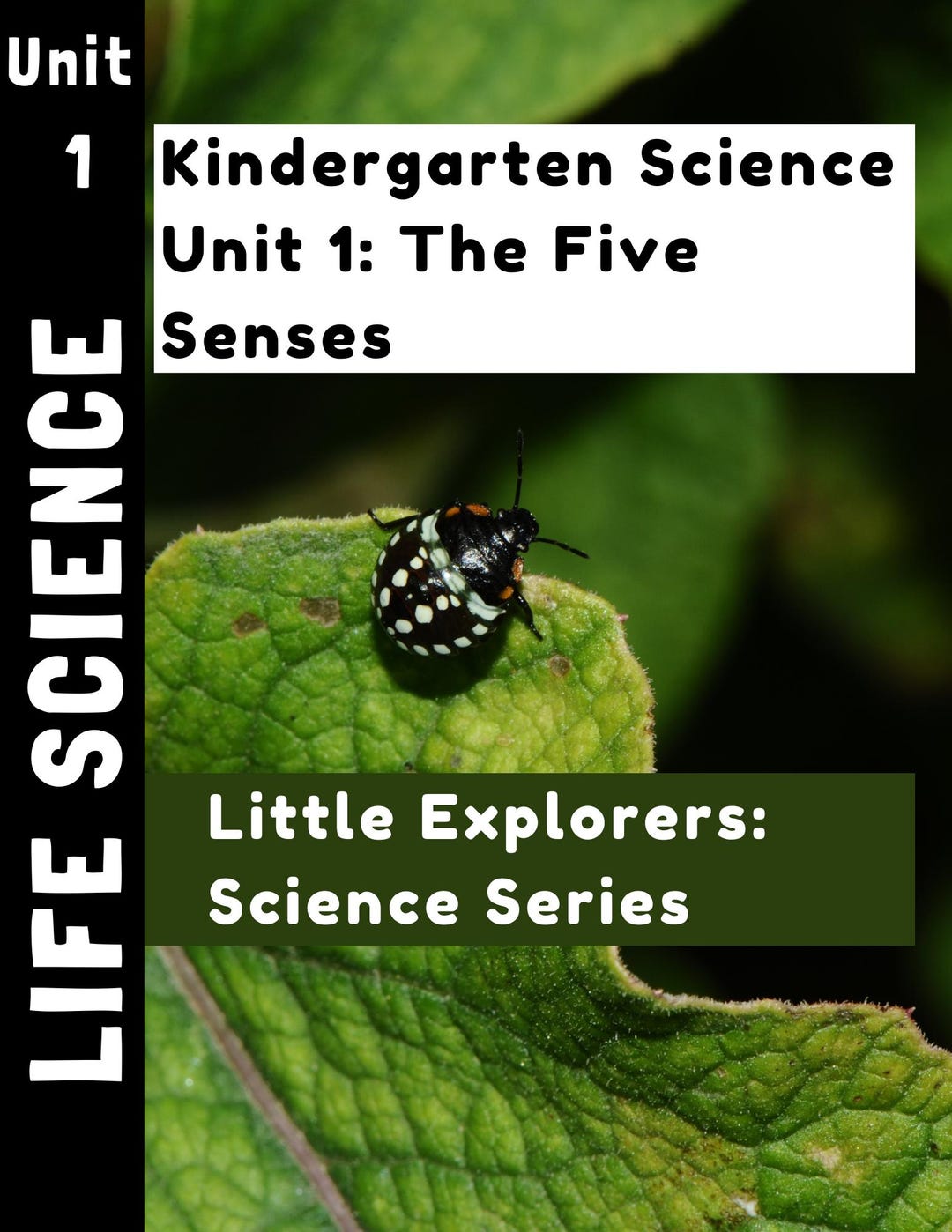 Kindergarten Science Unit 1: the Five Senses (lesson Plan/activities ...