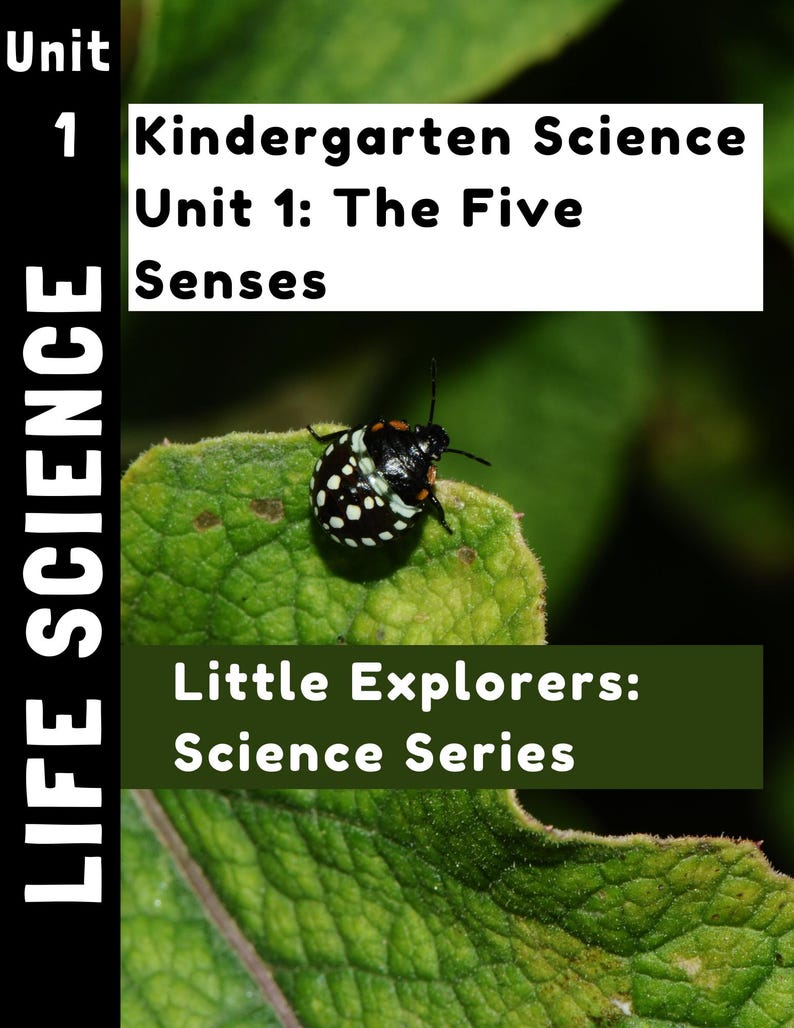 Kindergarten Science Unit 1: the Five Senses (lesson Plan/activities ...