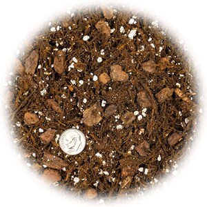 Cloflo House Plant Potting Mix Fern New Zealand Bark - Etsy