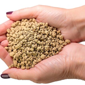 Cloflo Japanese Hyuga Pumice Premium Additive for Orchid & Bonsai Tree ...