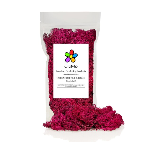 Pink Reindeer Moss - Etsy