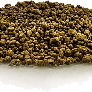 Cloflo Japanese Hyuga Pumice Premium Additive for Orchid & Bonsai Tree ...