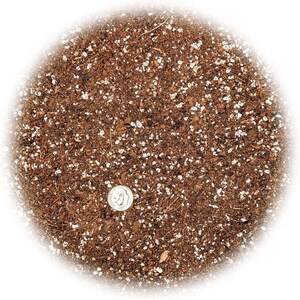 Cloflo Apple Tree Potting Soil Premium Organic Mix Providing Perfect ...