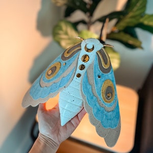 Pottery Template Moth | Slab Building | 3 Sizes | Instant PDF Download ...