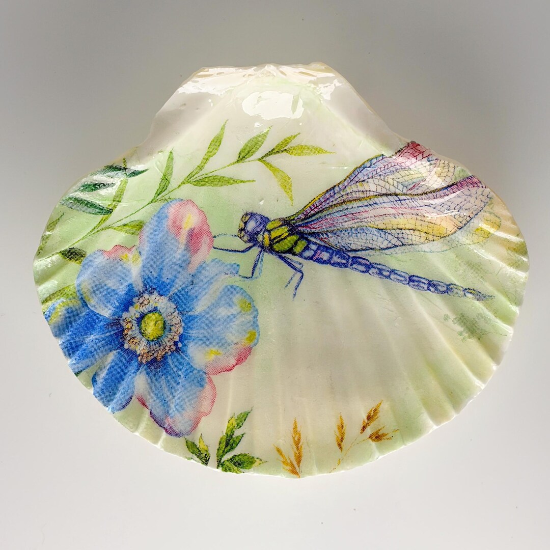 Handmade Decoupage Scallop Shell Dish for Rings & Jewelry. *dragonfly ...