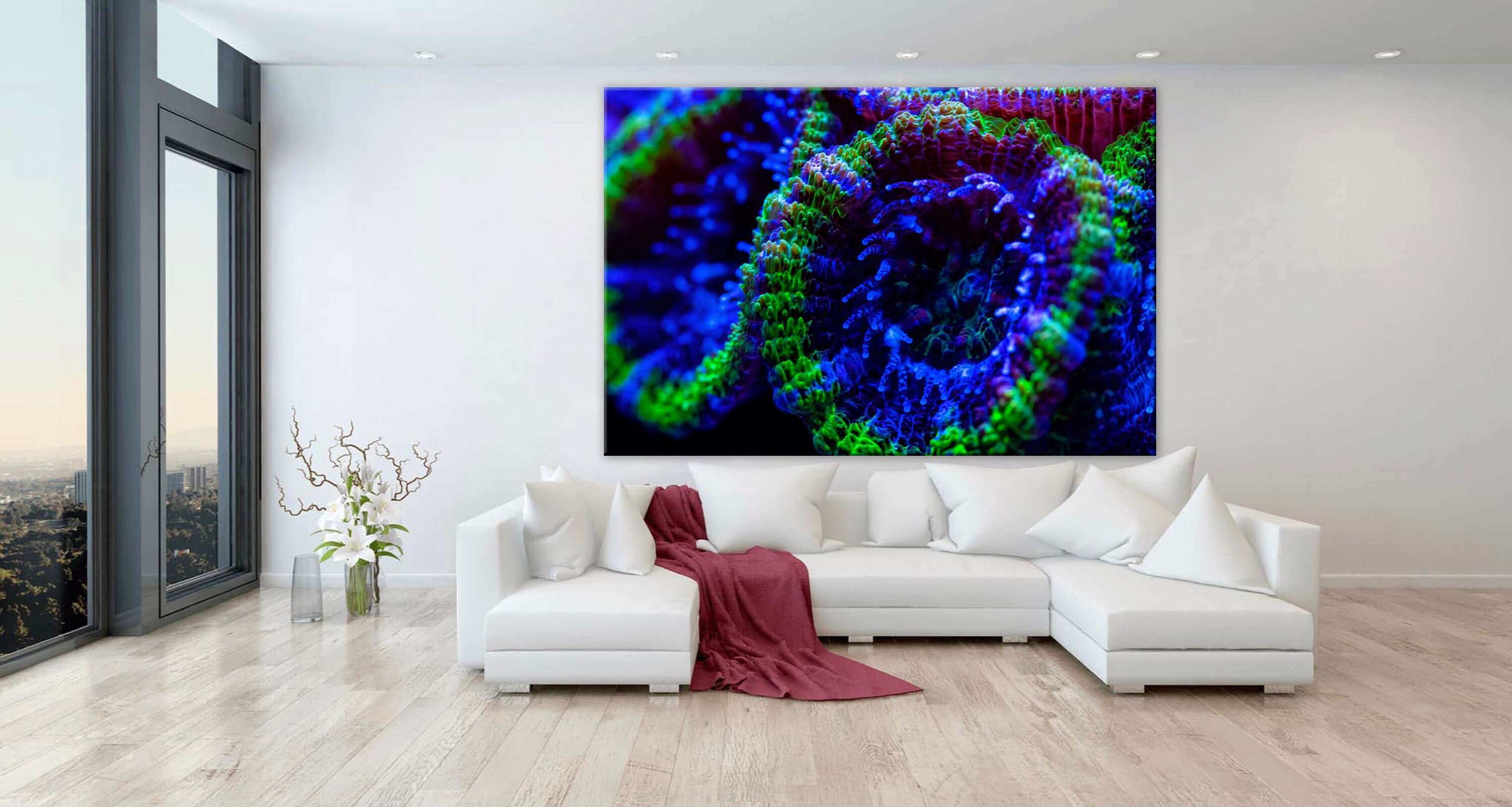 Micromussa Green Coral Print, Photo for Marine Reef Room Décor, Coral ...
