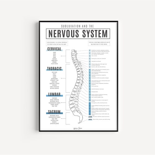 Autonomic Nervous System Chart - Etsy