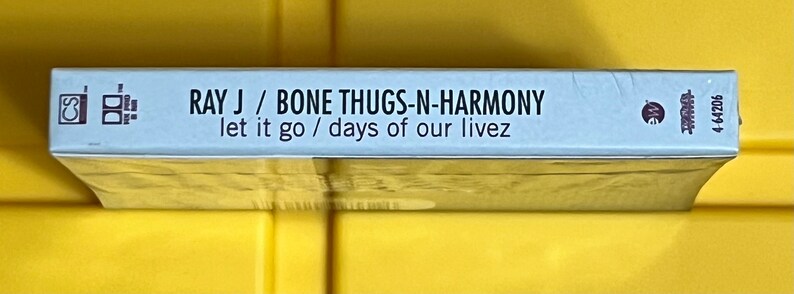 Ray J / Bone Thugs-n-harmony – Let It Go / Days of Our Livez - Etsy