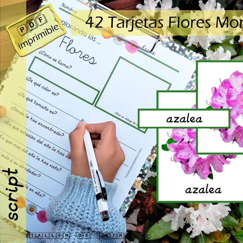 Tallerdeletras - Etsy