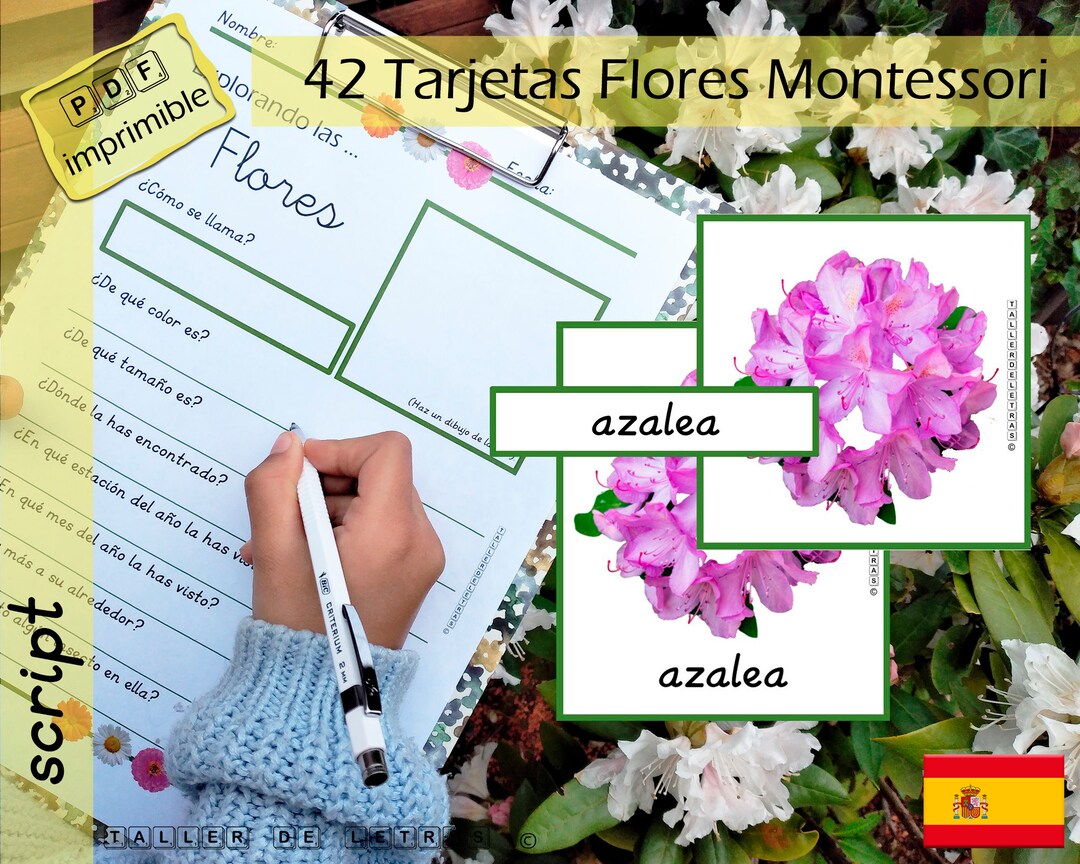 Tarjetas Flores tres partes Montessori en español, Tarjetas Montessori ...