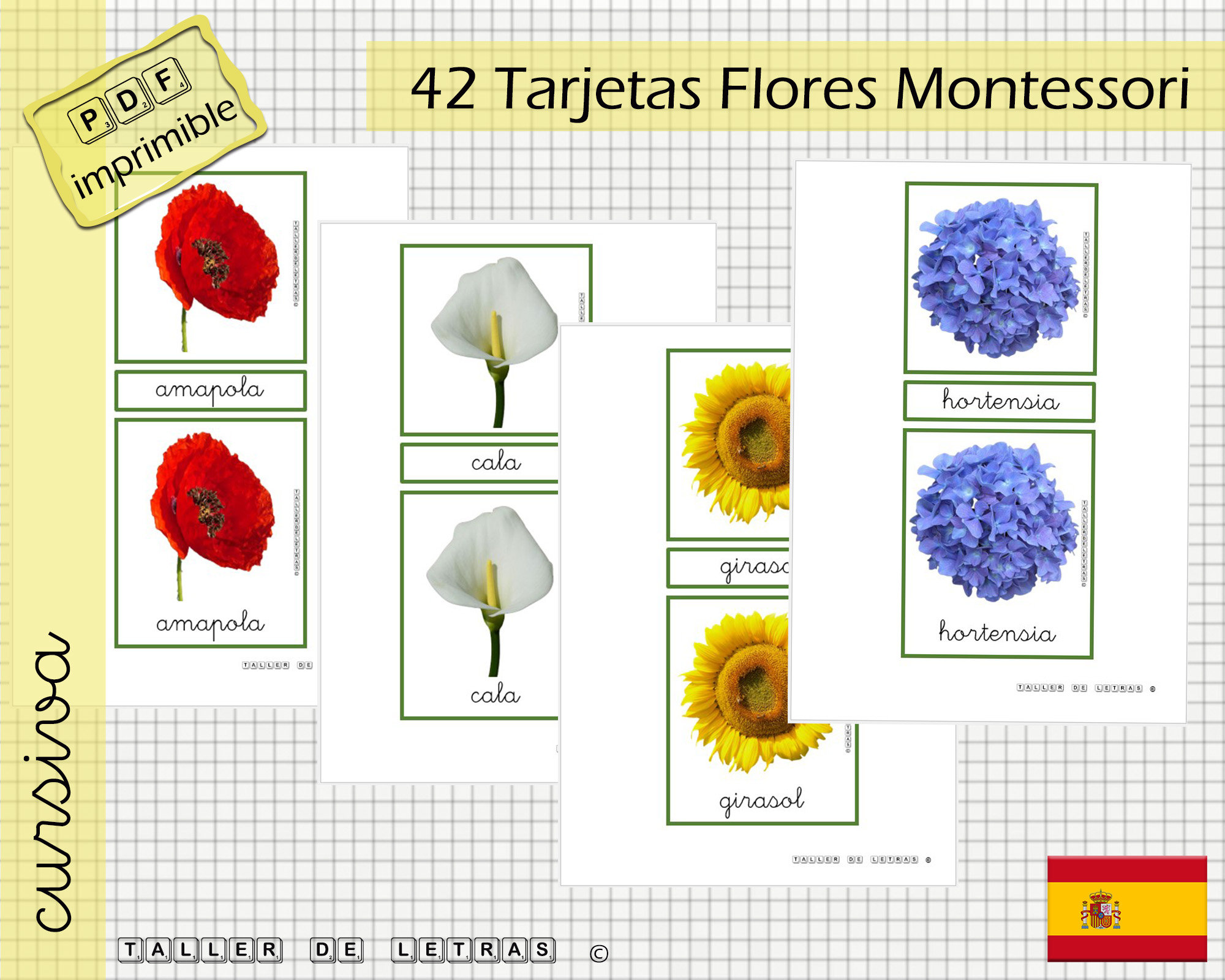 Tarjetas Flores tres partes Montessori en español, Tarjetas Montessori ...