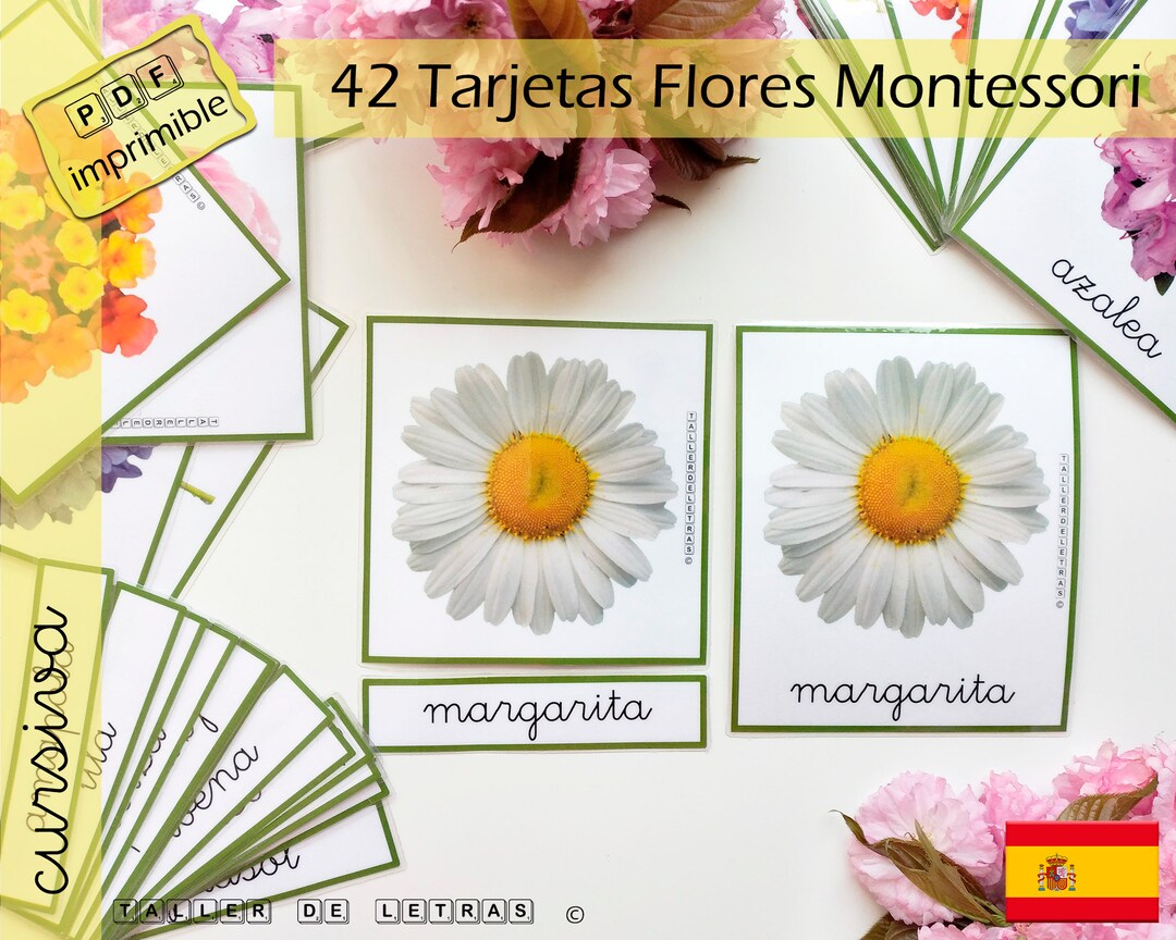Tarjetas Flores tres partes Montessori en español, Tarjetas Montessori ...
