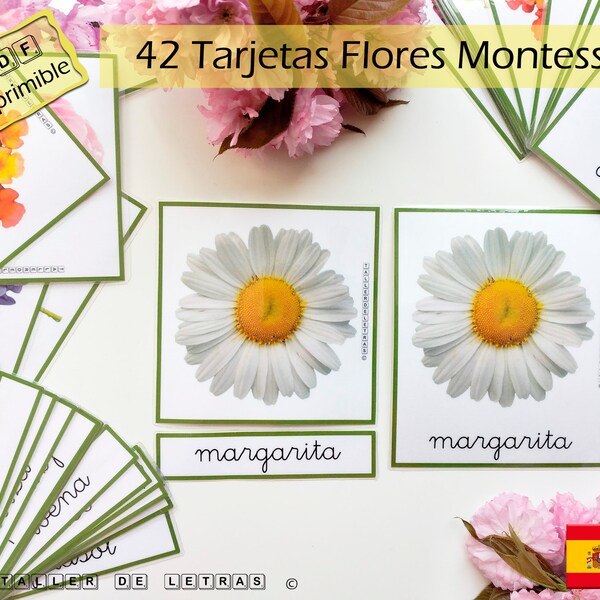 Tallerdeletras - Etsy