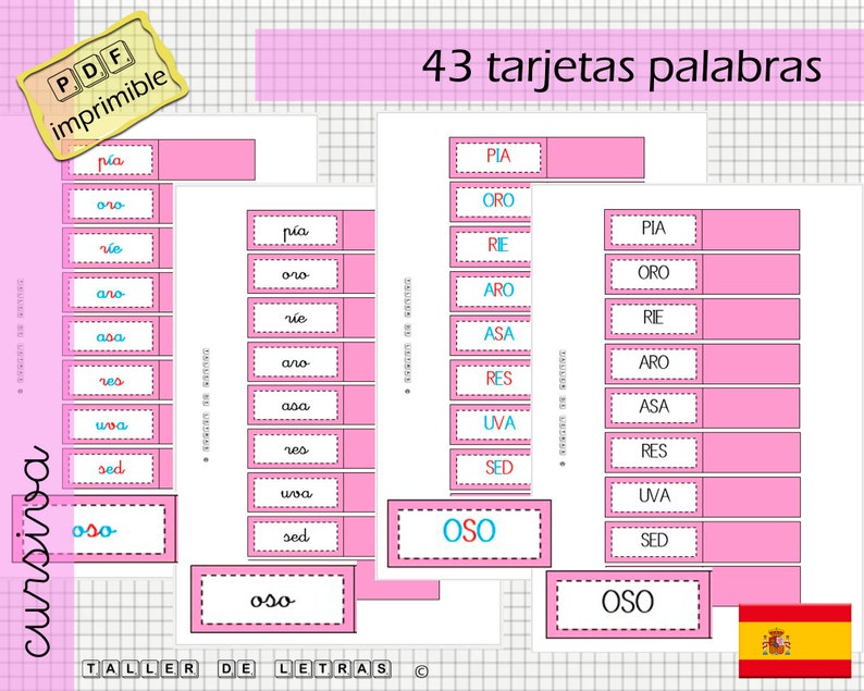 Tarjetas Serie Rosa Montessori en español Palabras CVC CVV | Etsy España