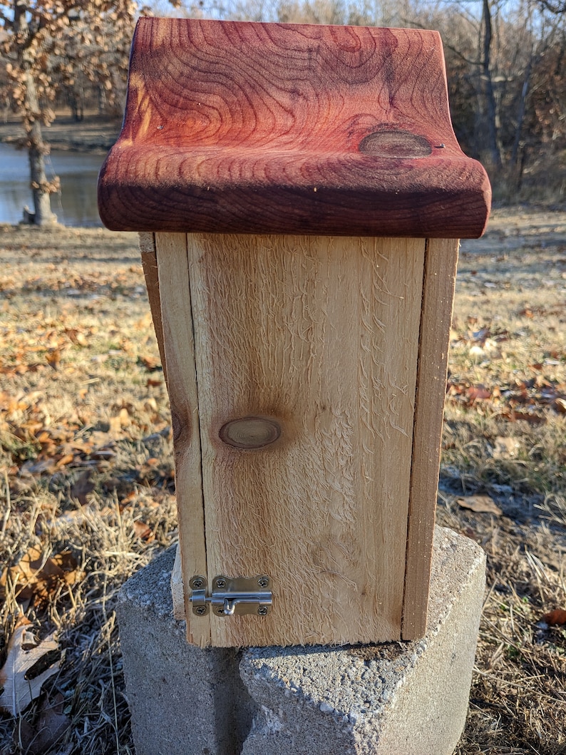 Cedar Bluebird House - Etsy