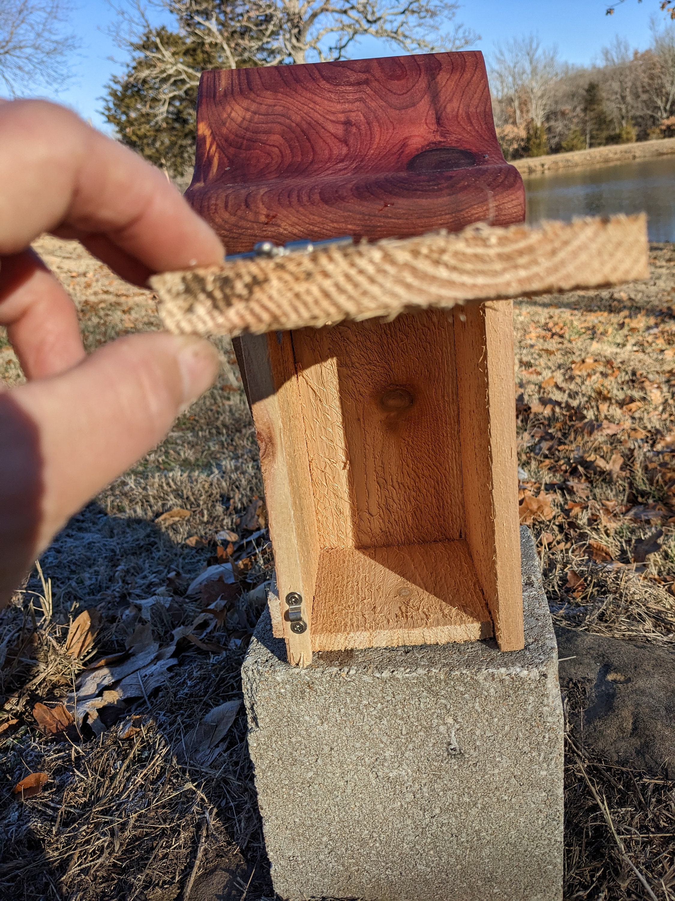 Cedar Bluebird House - Etsy
