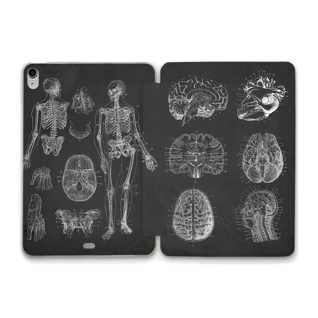 Science iPad Case Aesthetic Anatomy Brain Skeleton iPad 10th 9th 10.2 ...