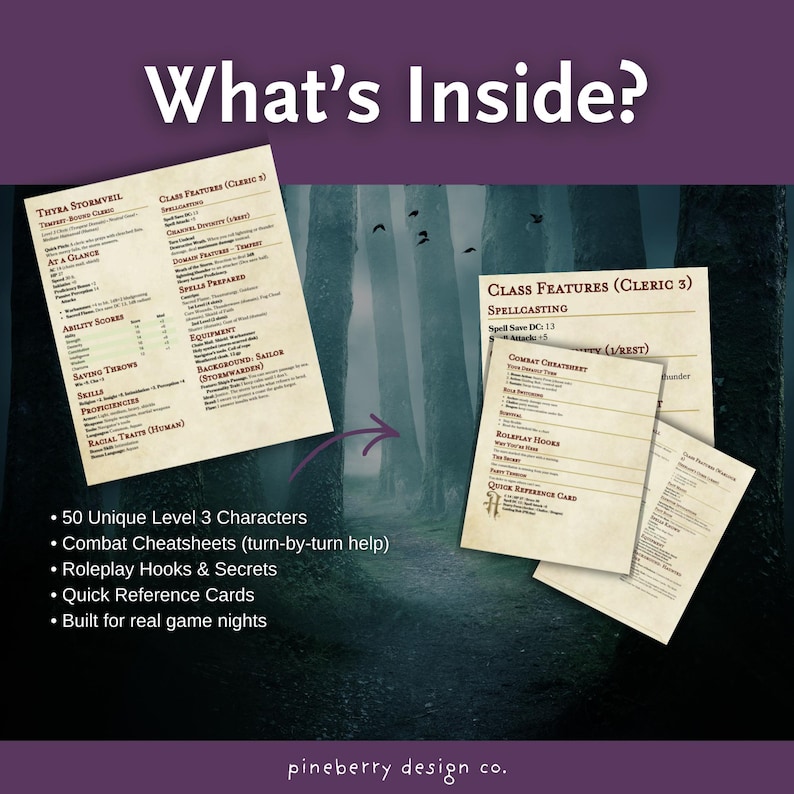 50 Ready to Play Dnd Characters | Level 3 D&D 5e Pre Generated ...