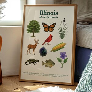 Illinois State Symbols Poster | Educational Printable | State Animal ...