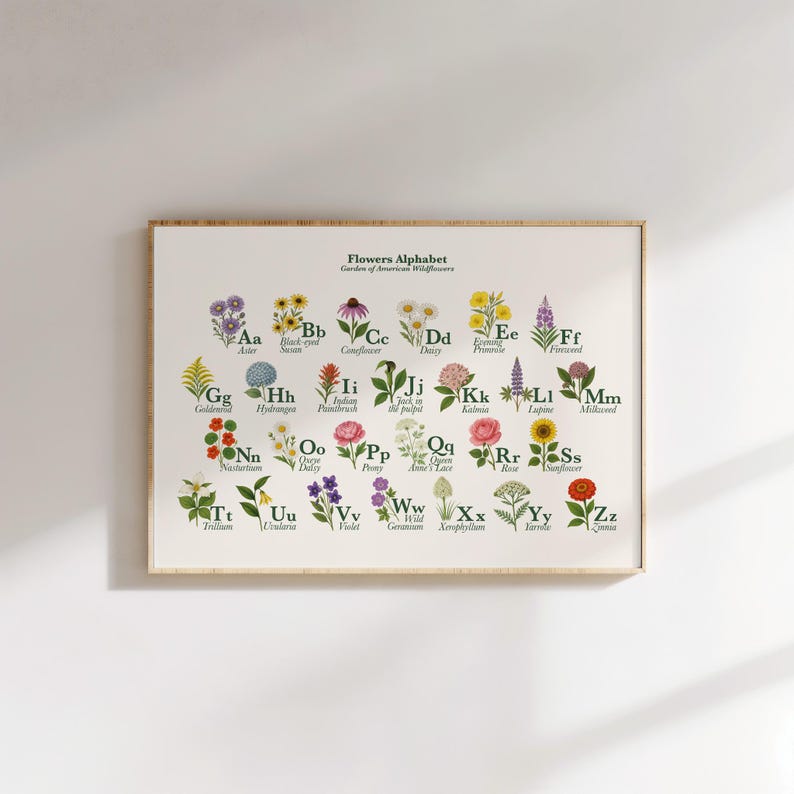 Wildflower ABC Poster: Botanical Alphabet Print for Kids (digital ...