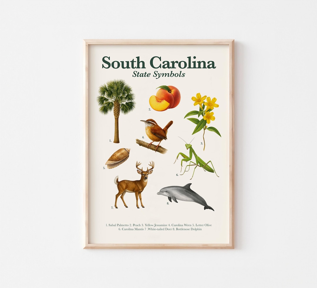South Carolina State Symbols Poster Educational Wall Art Nature Print ...
