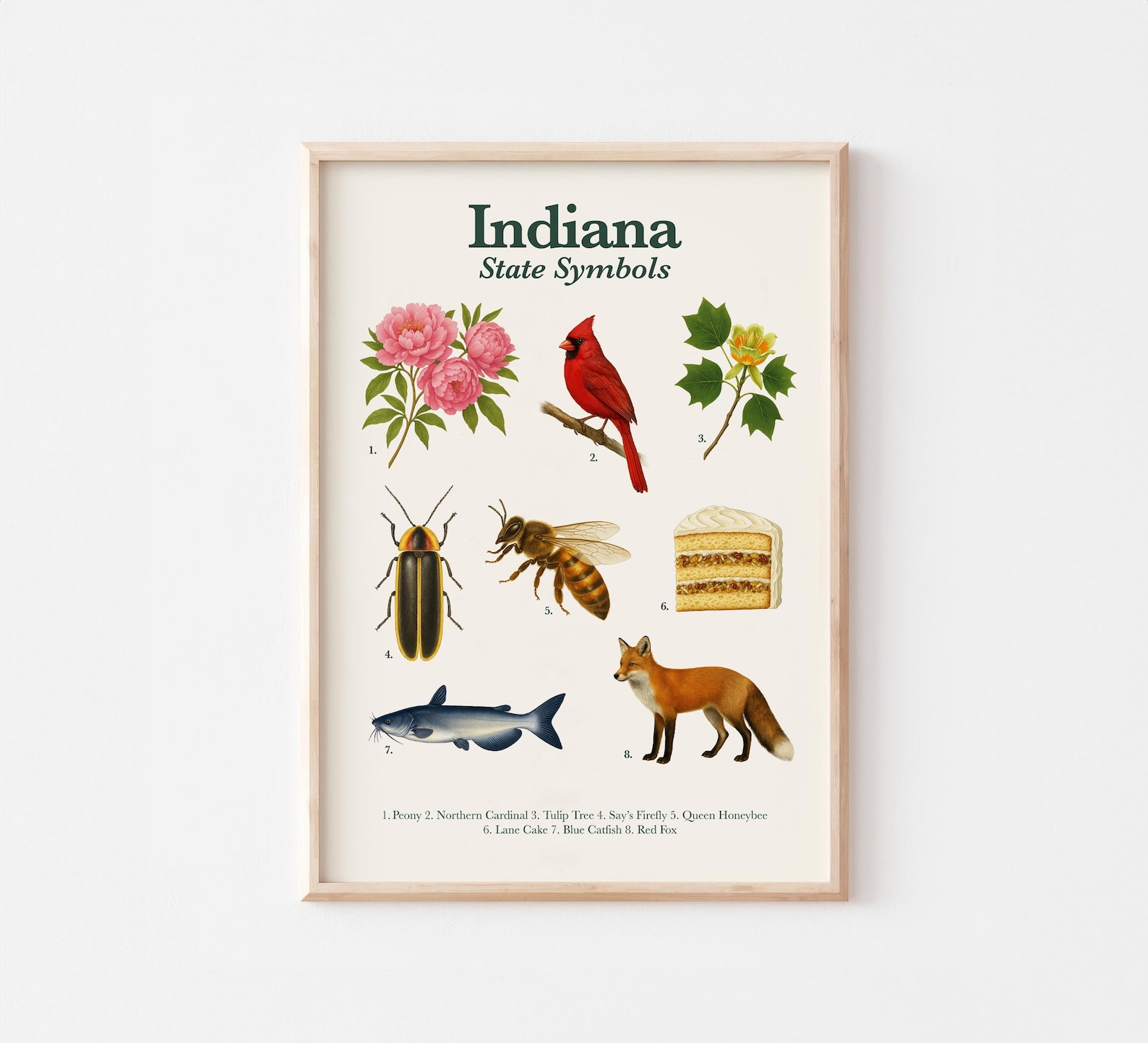 Indiana State Symbols Poster: Vintage Educational Art (digital Download ...