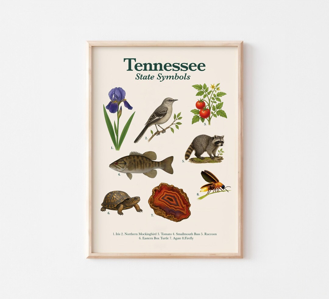 Tennessee State Symbols Poster: Educational Wildlife Art (digital ...