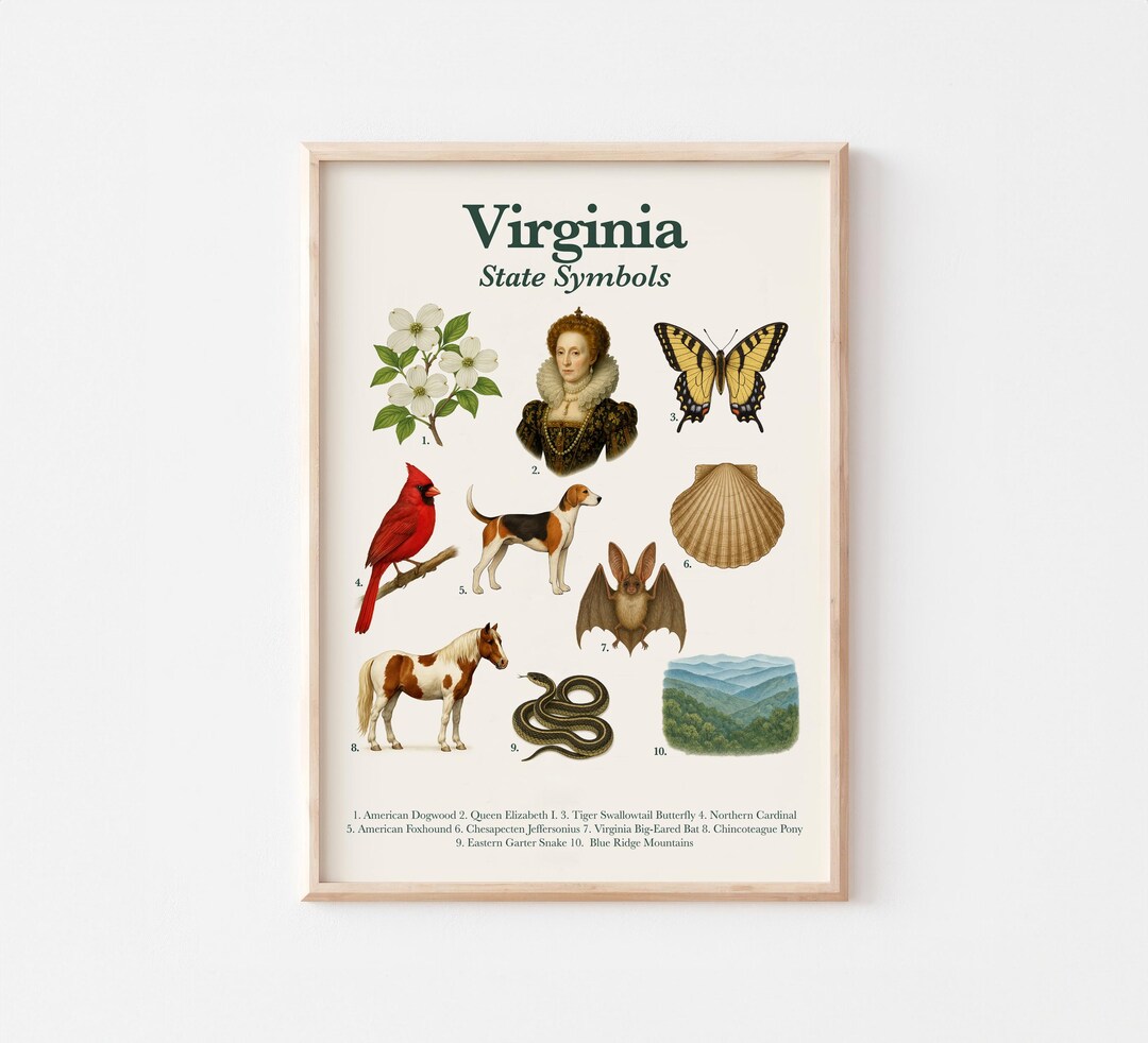 Virginia State Symbols Poster - Vintage Educational Wall Art - Etsy