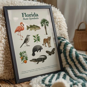 Florida State Symbols Poster | Educational Printable | State Animal ...