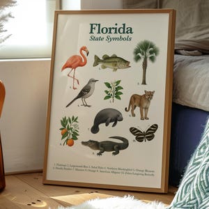 Florida State Symbols Poster | Educational Printable | State Animal ...