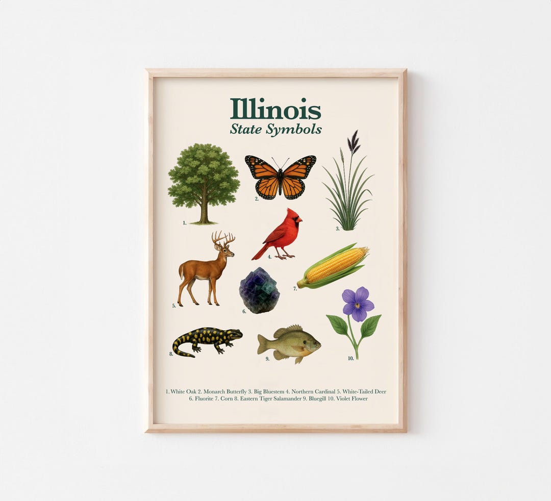 Illinois State Symbols Poster | Educational Printable | State Animal ...