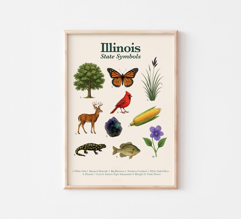 Illinois State Symbols Poster | Educational Printable | State Animal ...
