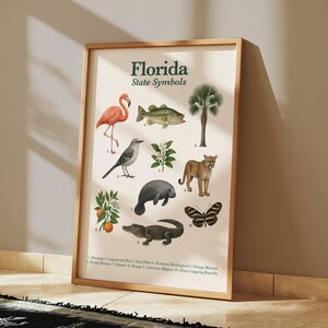 Florida State Symbols Poster | Educational Printable | State Animal ...