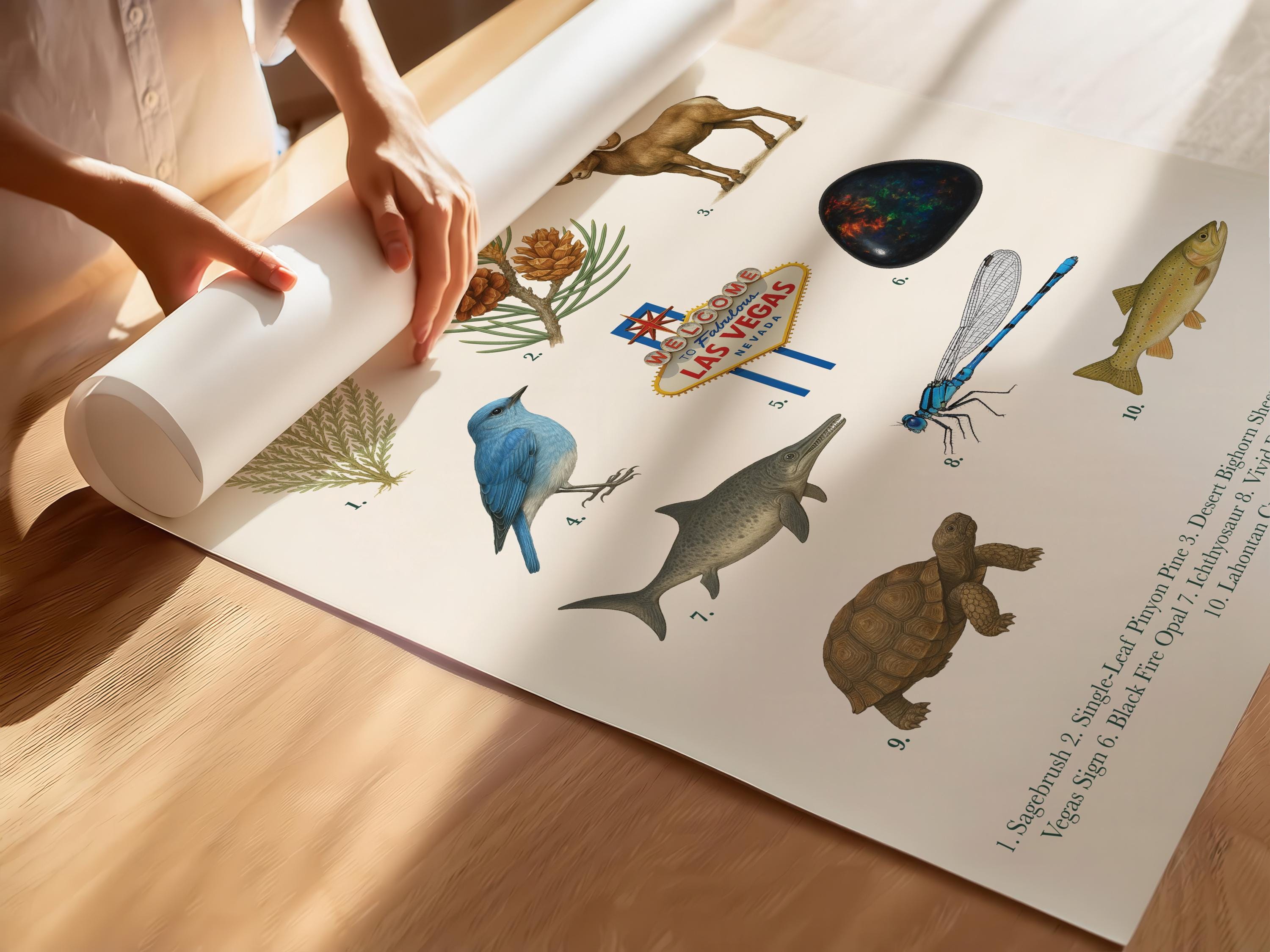 Nevada State Symbols Poster | Educational Printable | State Animal ...