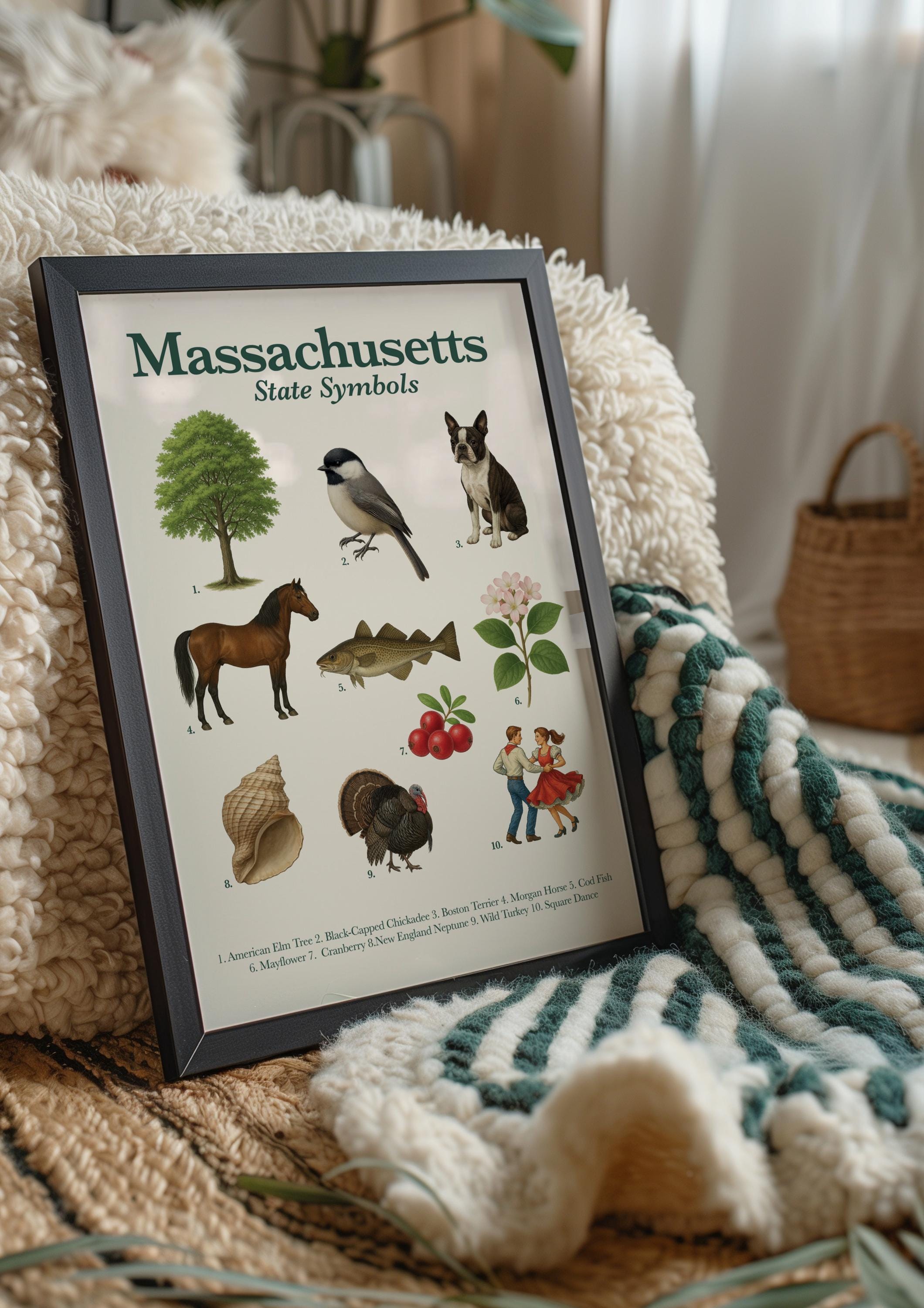 Massachusetts State Symbols Poster — Vintage Educational Wildlife Print ...