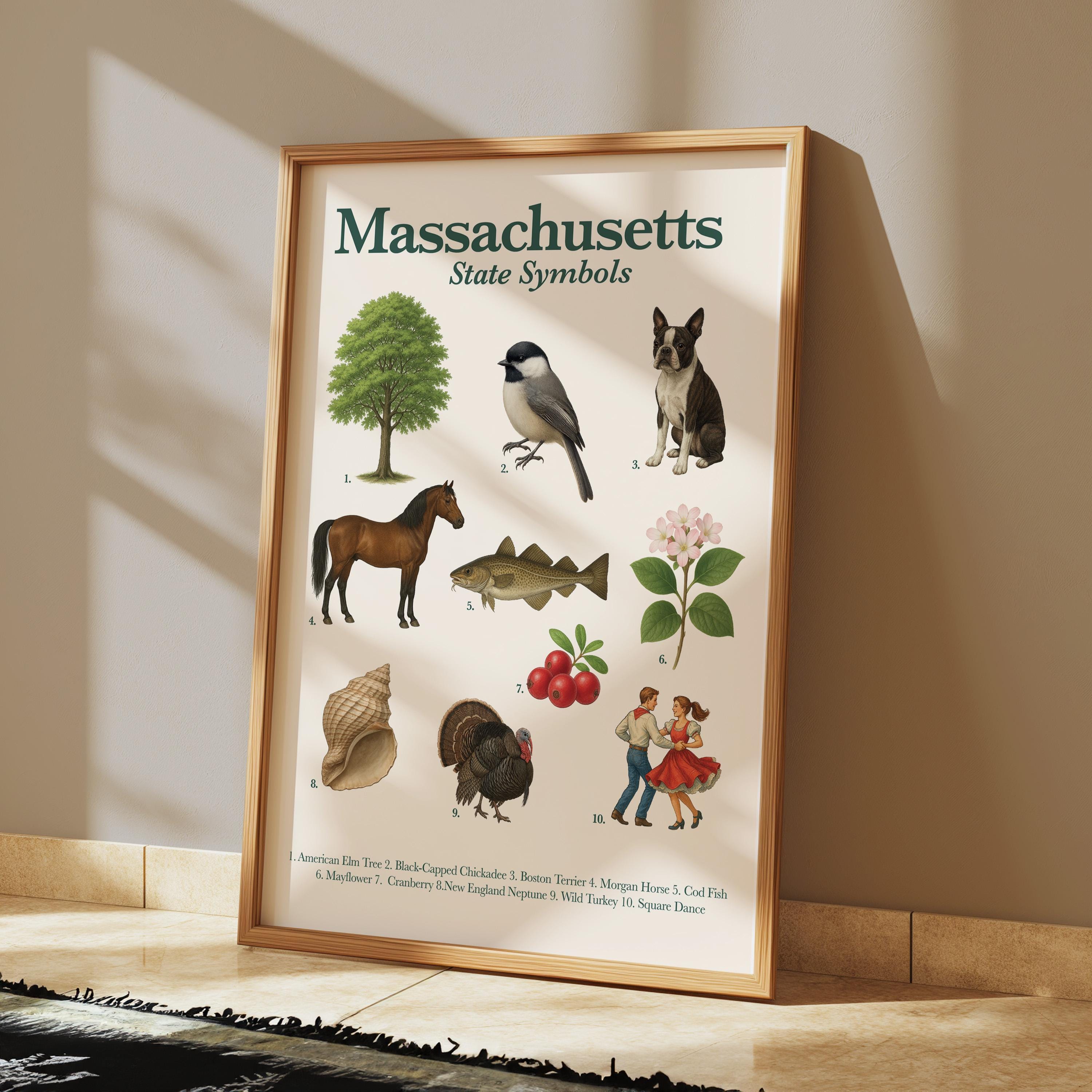 Massachusetts State Symbols Poster | Educational Printable | State ...