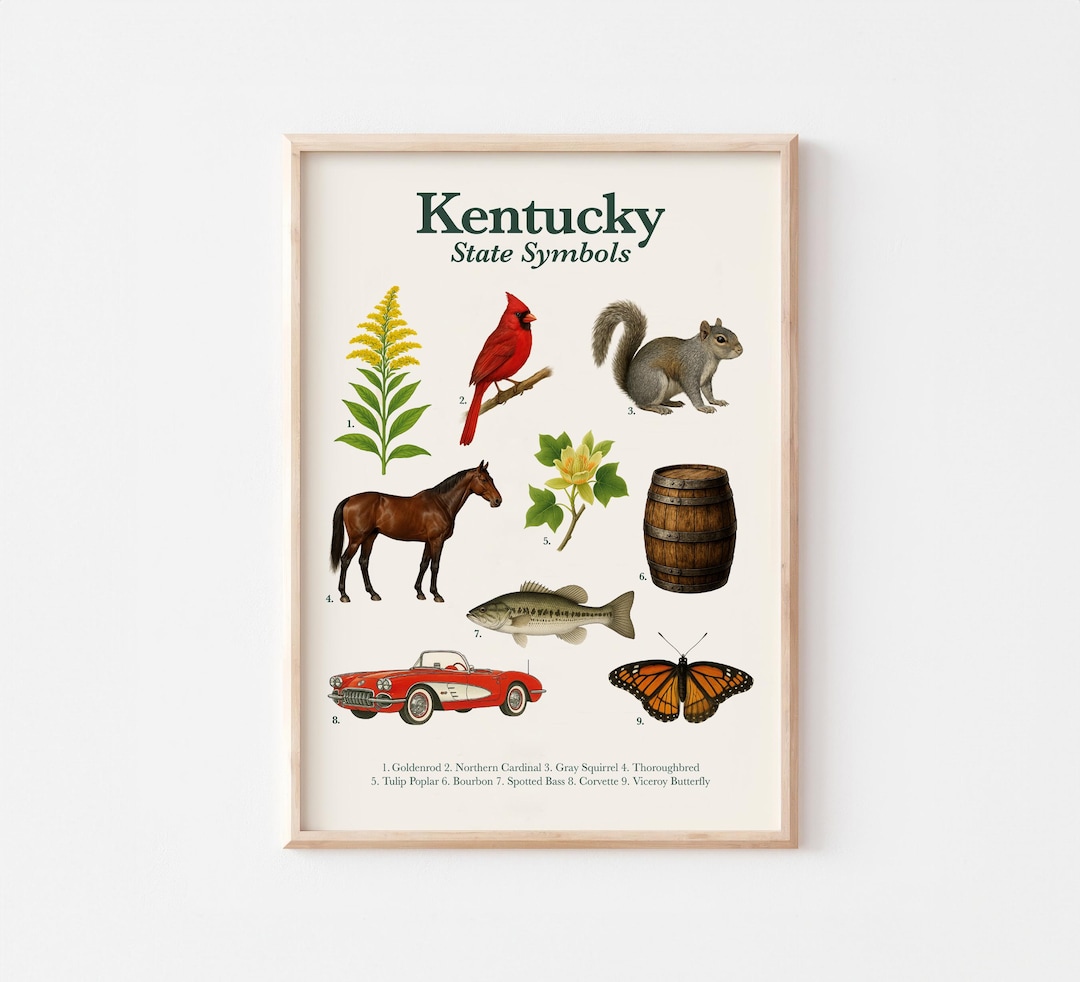 Kentucky State Symbols Poster | Educational Printable | State Animal ...