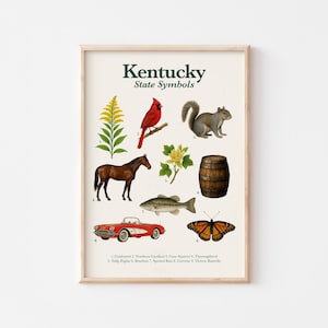 Kentucky State Symbols Poster | Educational Printable | State Animal ...