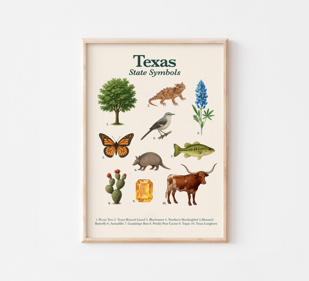 Texas State Symbols Poster | Educational Printable | State Animal, Bird ...