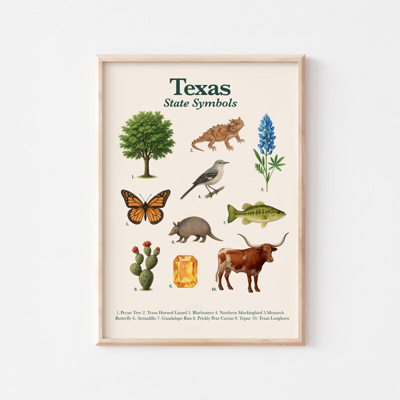 Texas Poster - Etsy