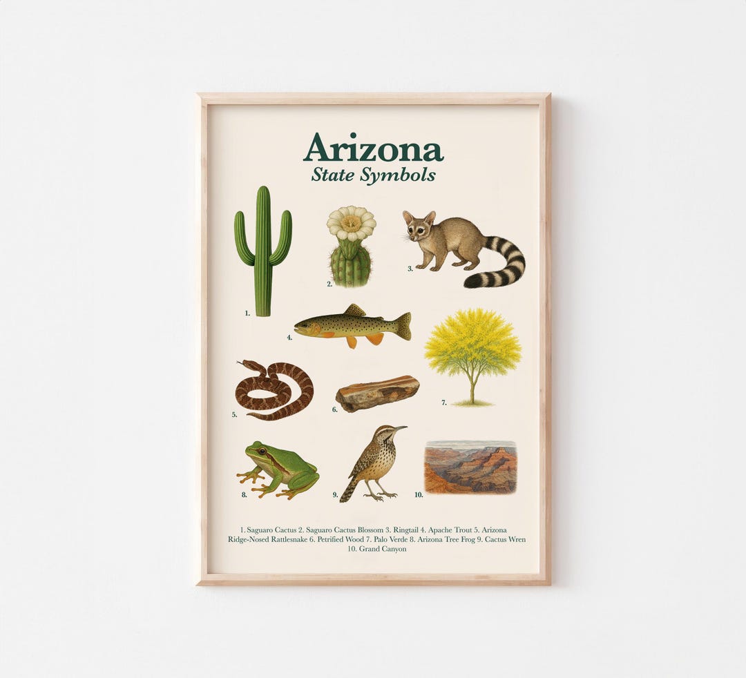 Arizona State Symbols Poster | Educational Printable | State Animal ...